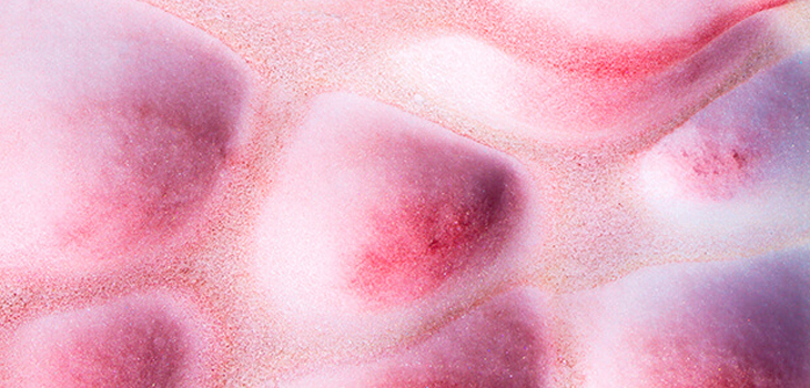 Coenochloris Signiensis(Snow Algae) Extract